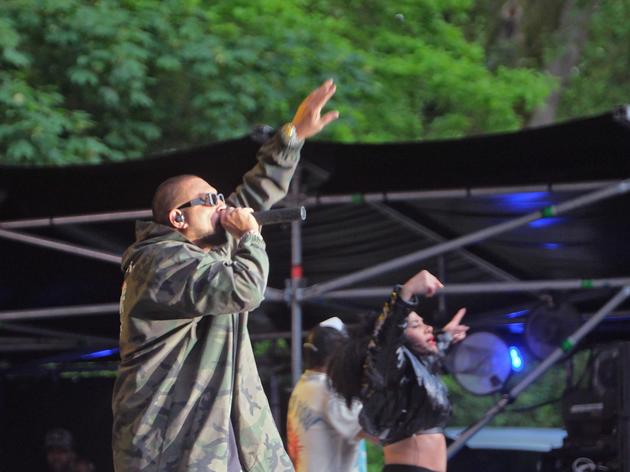 Volles Haus, gute Stimmung: Sean Paul auf der Waldbühne in Northeim