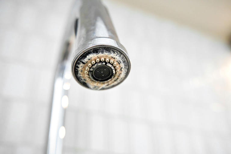 How to remove hard water buildup from a faucet head in minutes