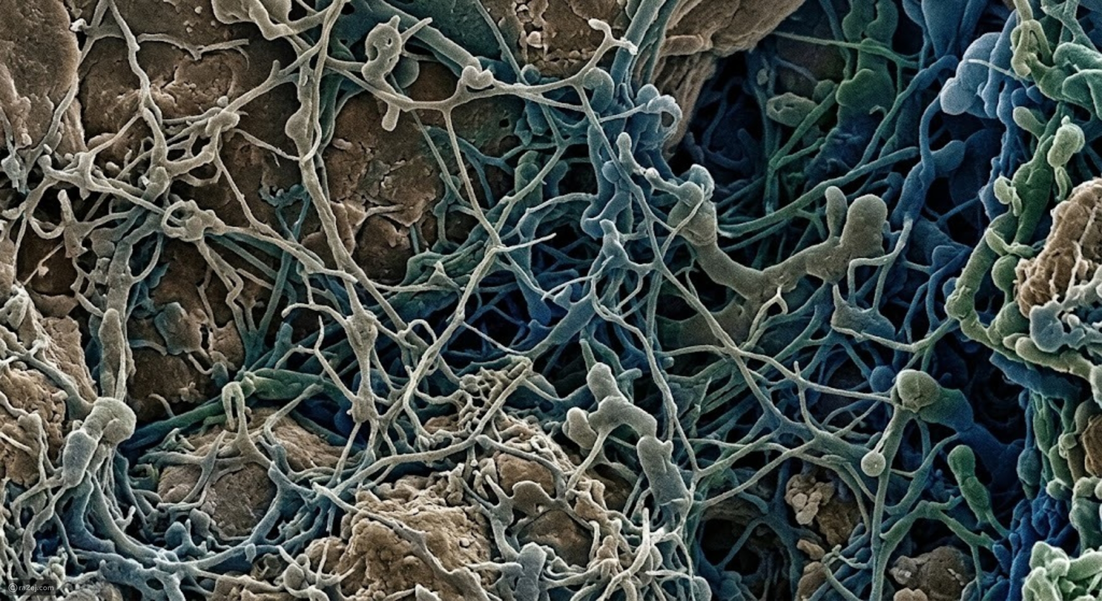 Scientists found strange tunnels in rocks that may point to unknown ...