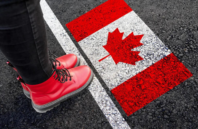 Chennai man 'self-deports' from Canada to India citing emotional ...