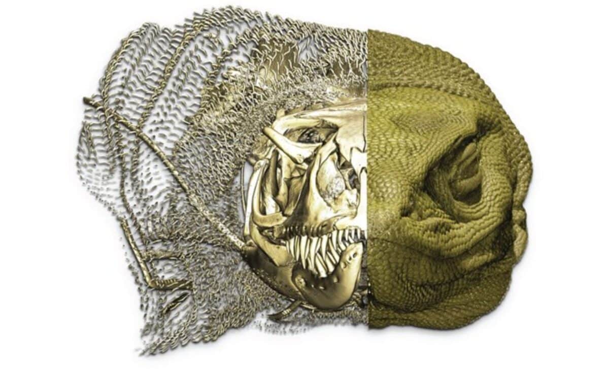 The lizard that broke one of evolution’s most sacred rules