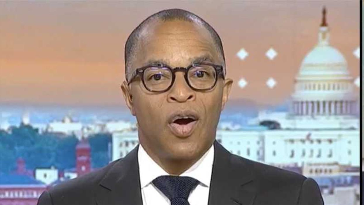 MS NOW host left bereft of words after watching GOP lawmaker's ad about ...
