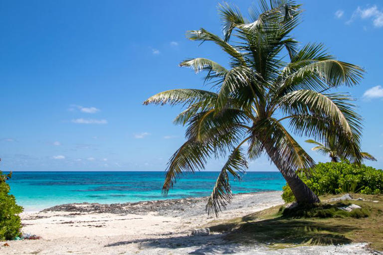 Inside Donald Trump Jr's Bahamas wedding as the president announced he ...
