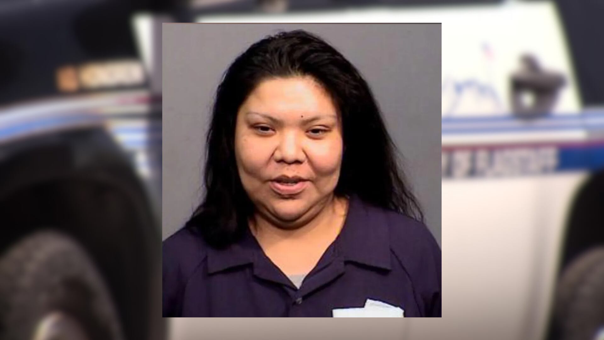 Flagstaff mother accused of killing child has criminal background ...