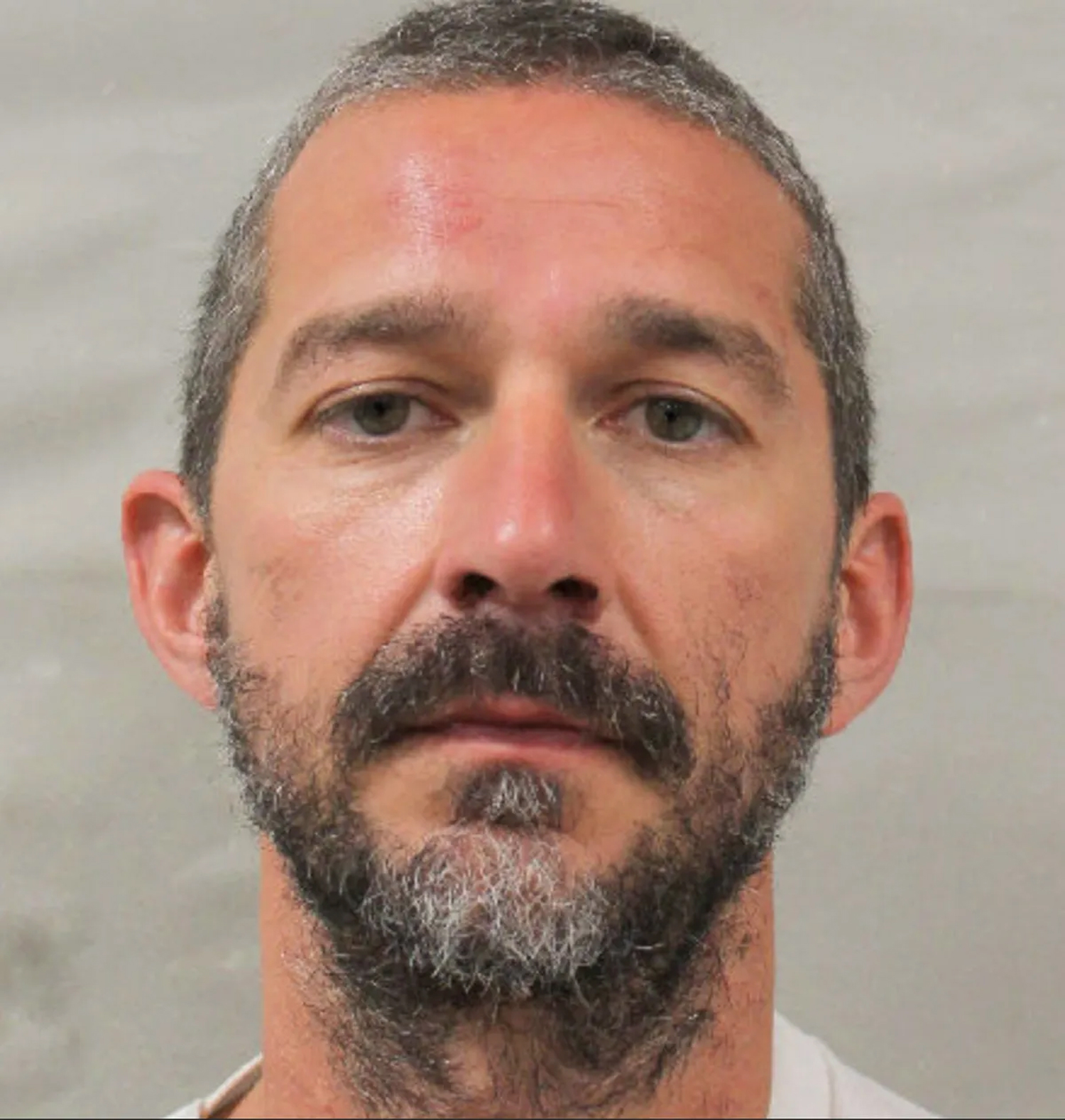 Shia LaBeouf finally charged for Mardi Gras bar brawl 3 months after ...