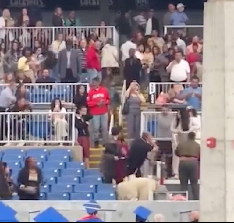 Connecticut community college graduation spirals out of control after 2 ...