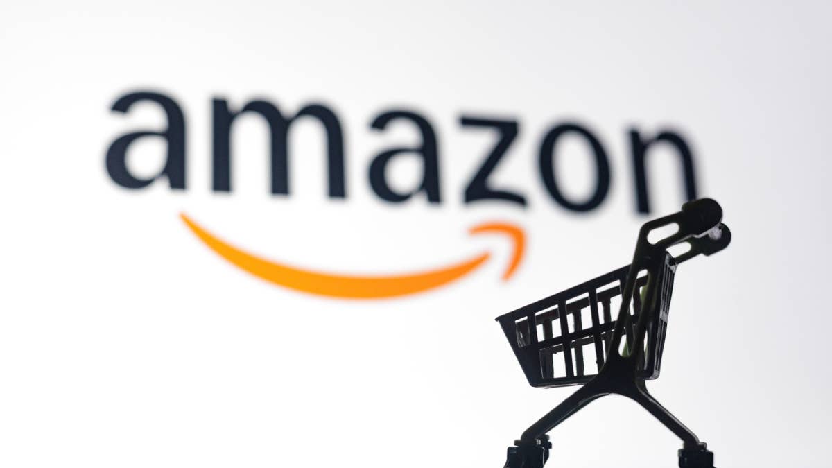 Amazon's 'beautiful' cedar bird house is just $15 — 'wrens moved right in!'