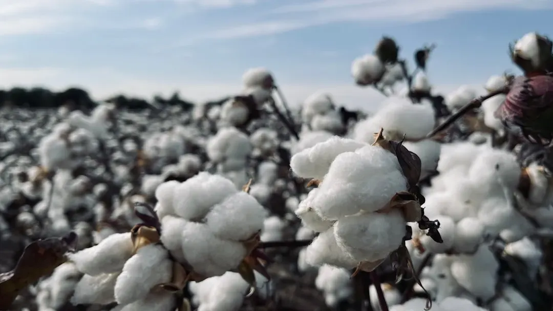 5 crops that farmers are quietly replacing before 2030