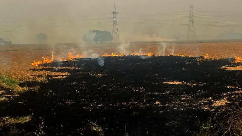 Punjab reports 53 more farm fires