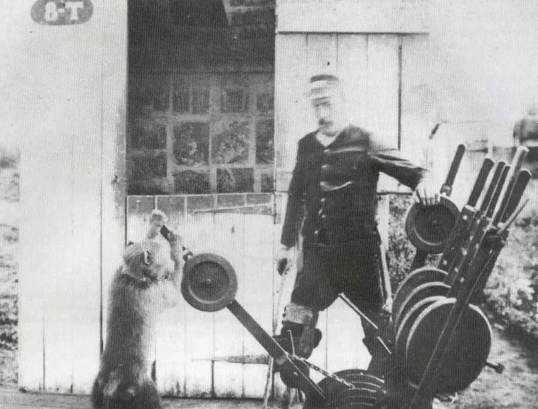 South Africa once paid a baboon to operate railroad signals