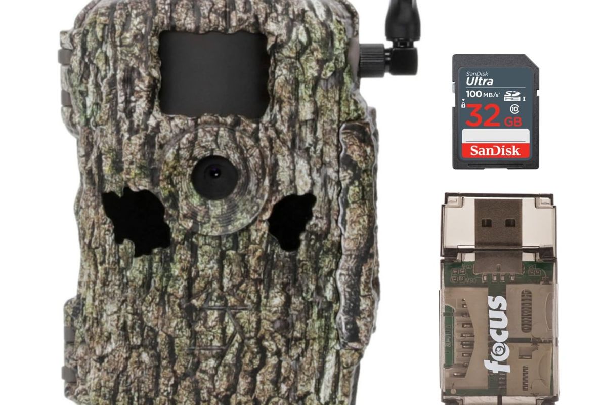 12 trail cameras that serious hunters are switching to this season