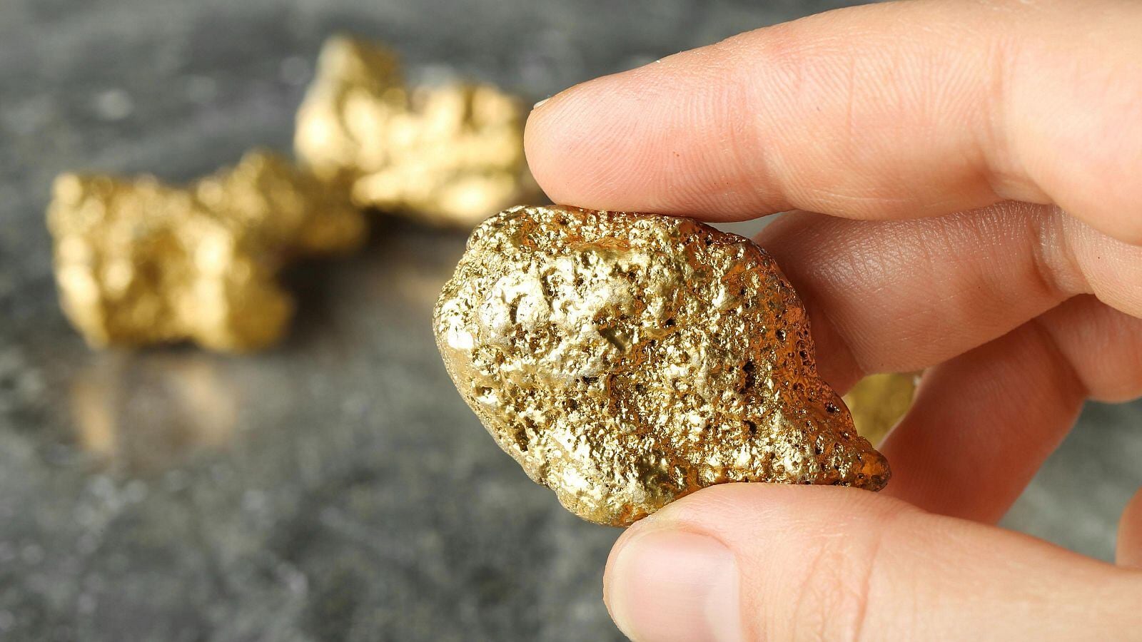 ¿El fin de la pobreza?: encuentran una planta que produce oro puro y se ...