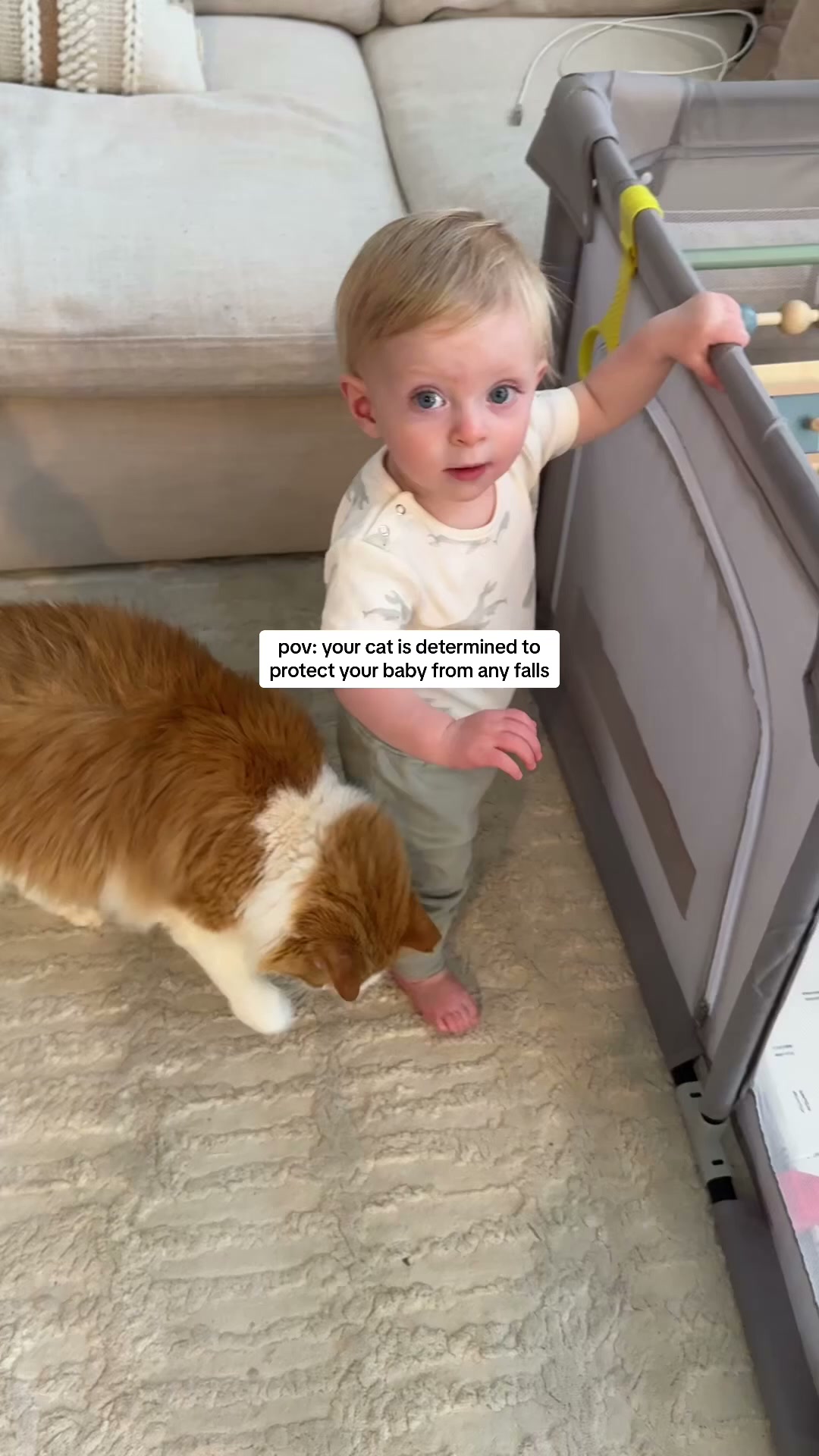 Cat protects baby that is learning to walk!