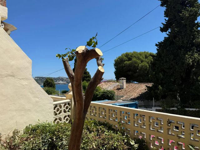 Homeowners urged to call a lawyer after 'small trim' leaves balcony ...