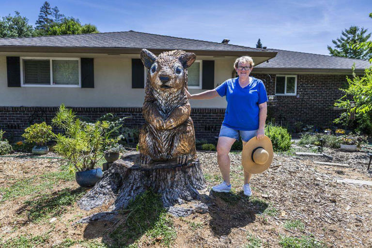 Meet Butchy the squirrel and other Sacramento stumps turned into ...
