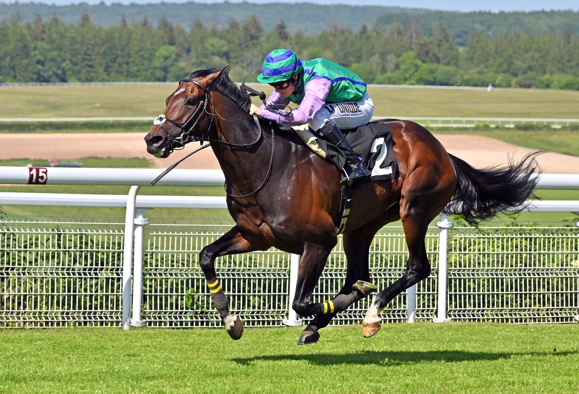 Golden Story and Inis Mor take feature honours as Goodwood’s sun-baked ...