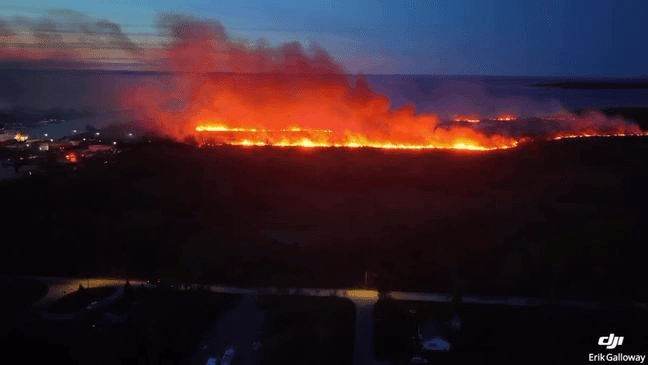 Man arrested after fire burns Duncan Bay Nature Preserve