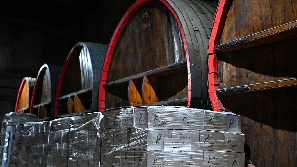 Wine lovers’ guide to perfect home storage