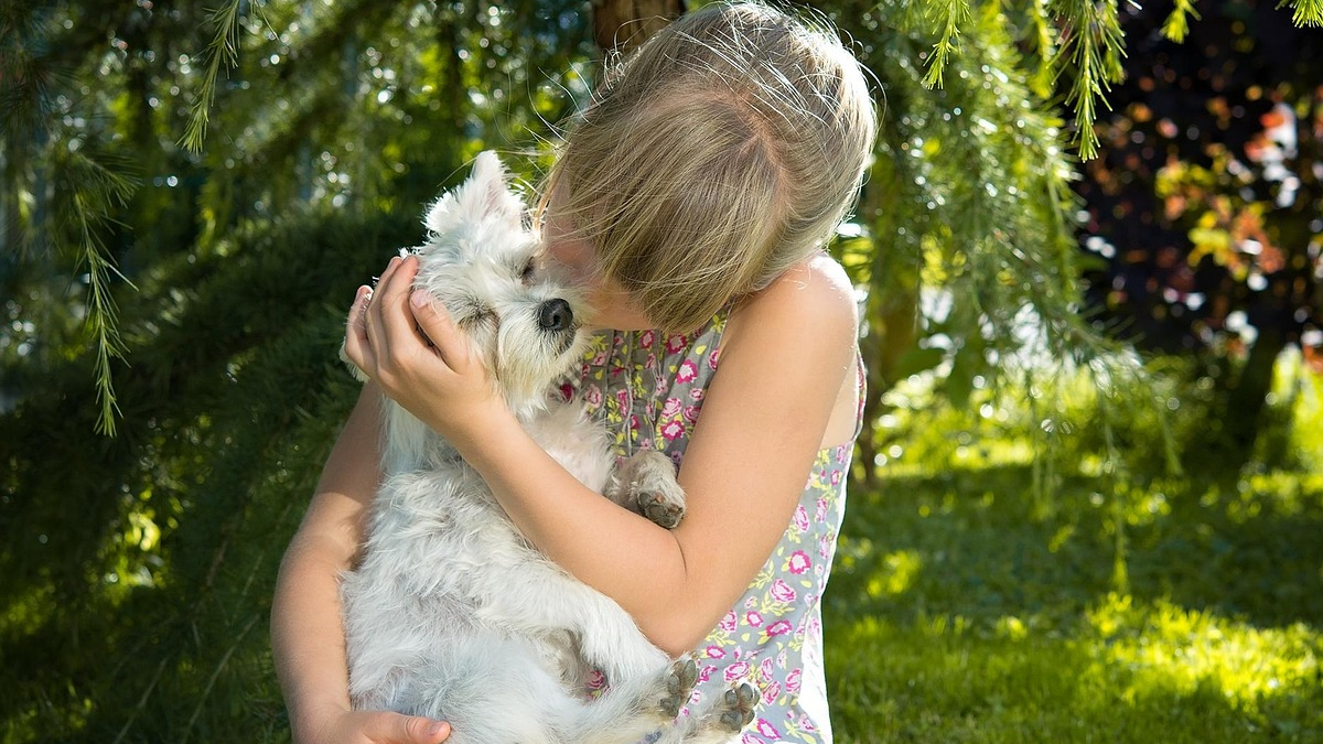 What a dog really feels when you hug it, according to research