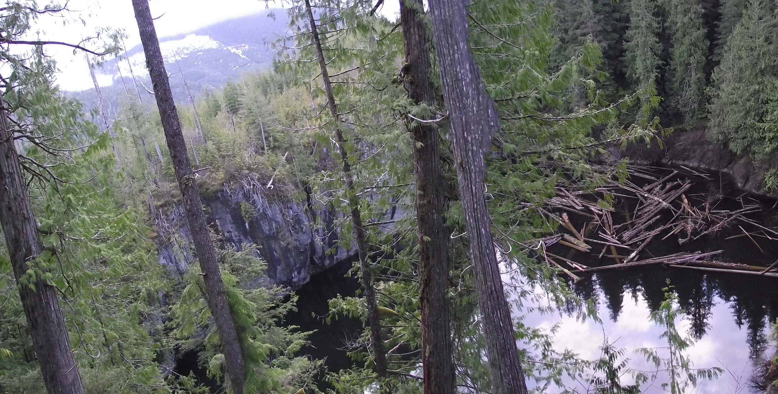 This 2,000-foot sinkhole is one of the most terrifying places on Earth