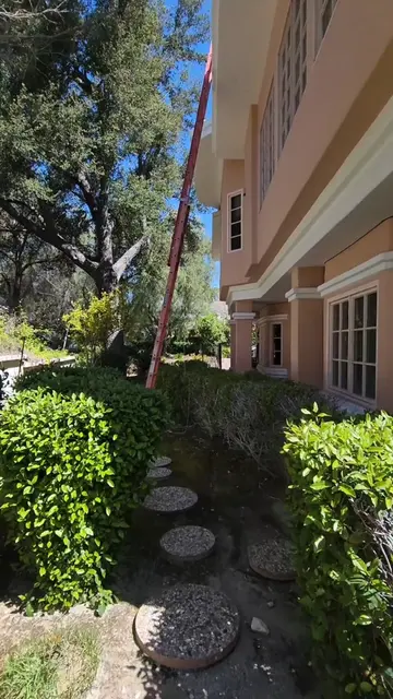 Removing a giant roof beehive high above the ground