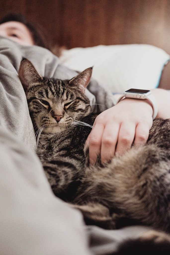 What does your cat mean when they stare without blinking?