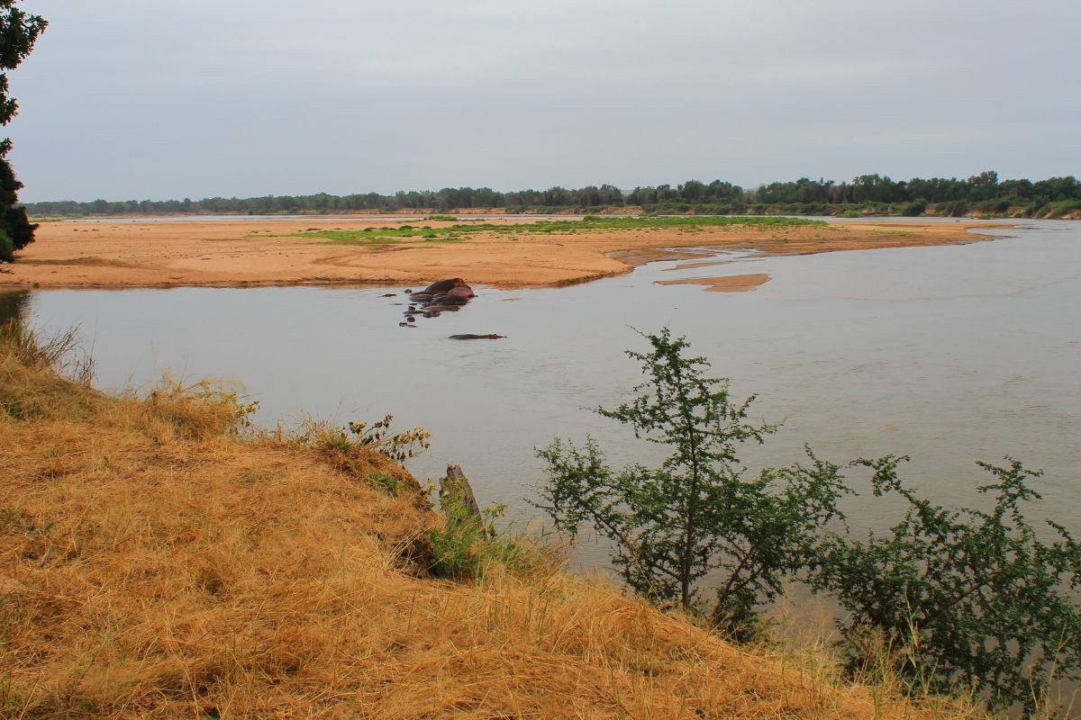 KNP: Manhunt commences after Crooks Corner double murder