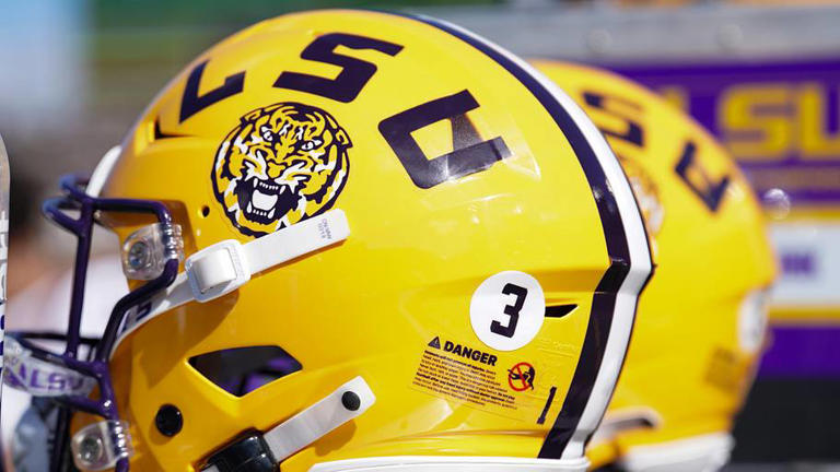 LSU football's newest QB transfer has deep SEC roots