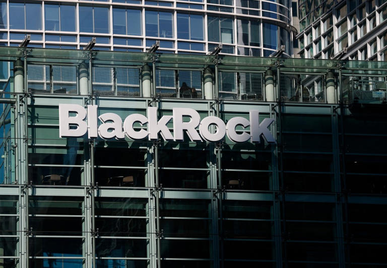 PH to benefit from BlackRock, IFC-backed infra credit fund