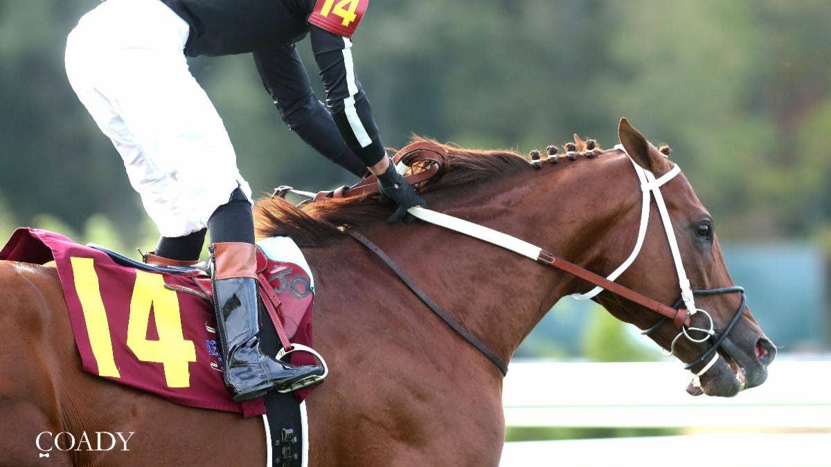 Lagynos among contentious lineup for Arlington Stakes
