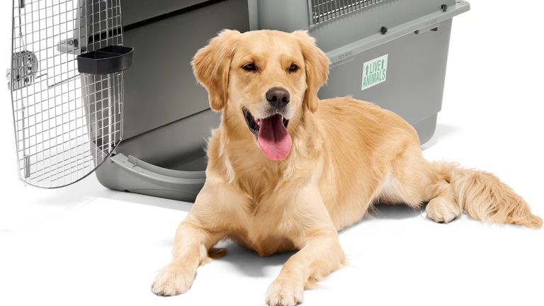Flying your dog in 2026? These are the only IATA-ready crates for large ...