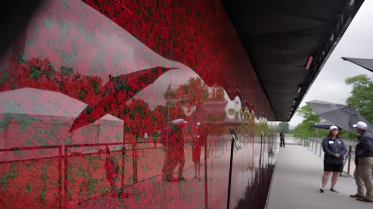 Solid wall of poppies commemorates fallen soldiers in Washington