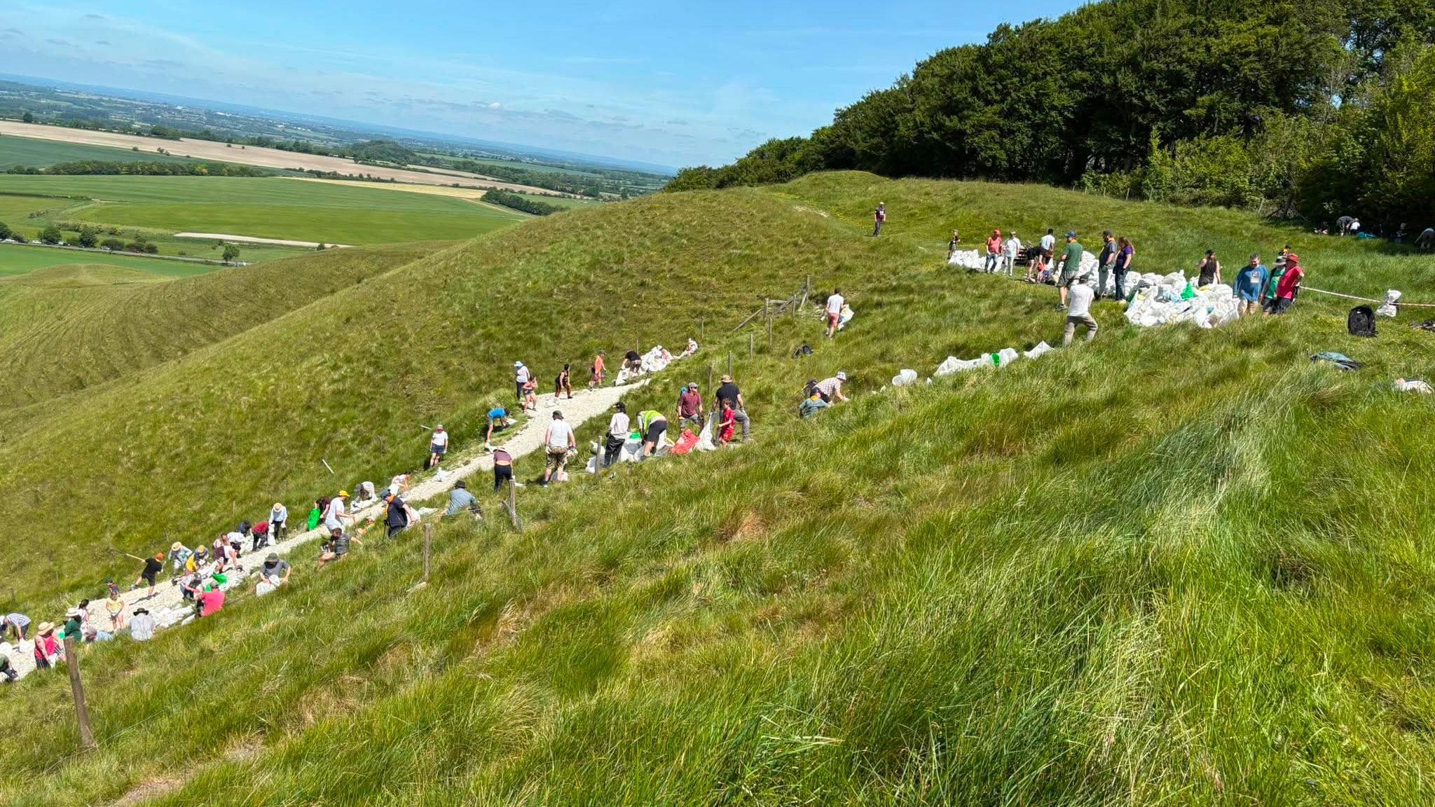 People create human chain to restore white horse