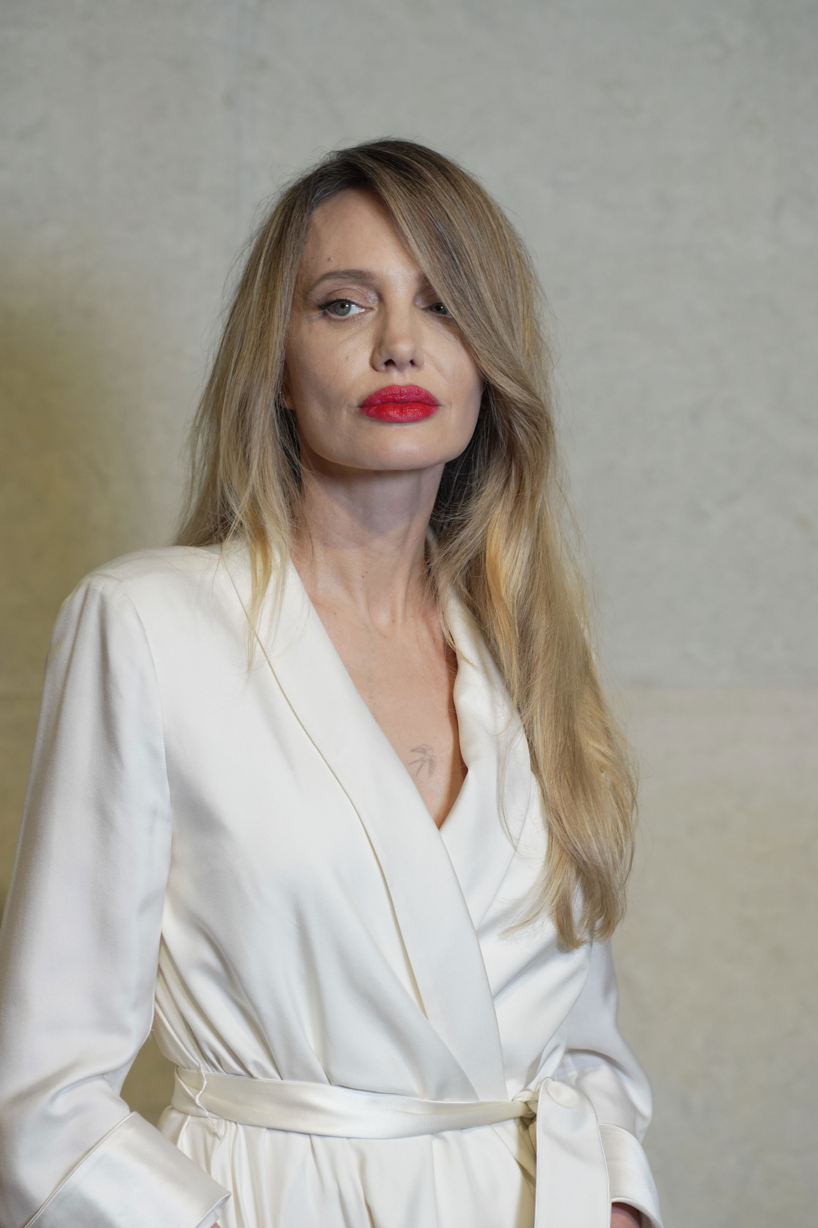 Brad Pitt will never marry again after Angelina Jolie 'alienated' him ...