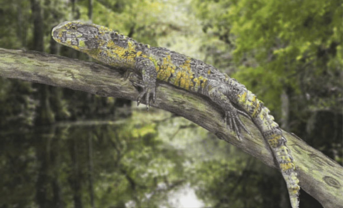 83-million-year-old crocodile lizard fossil found in France challenges ...