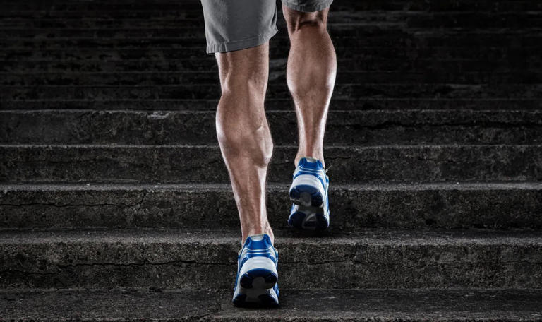 Kuiten trainen zonder sportschool: deze 4 oefeningen werken het best in ...