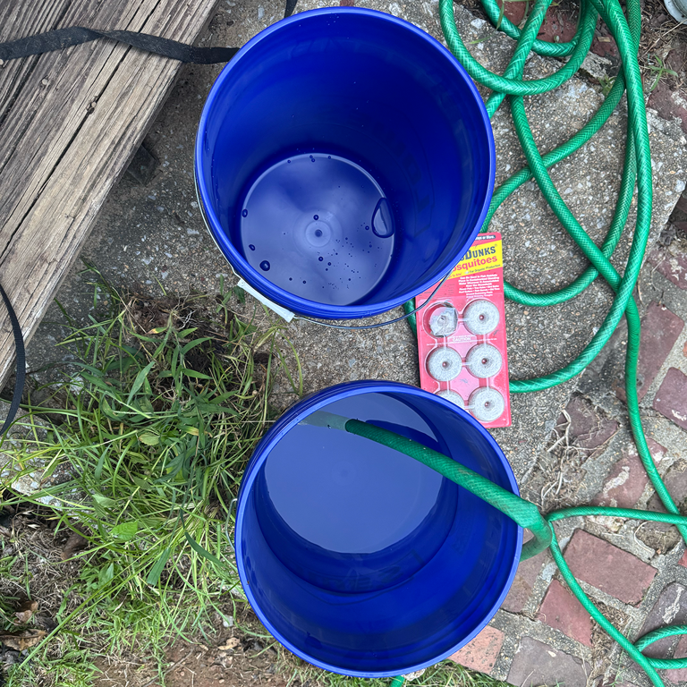 The 'Bucket of Doom' is the best mosquito hack you've never tried