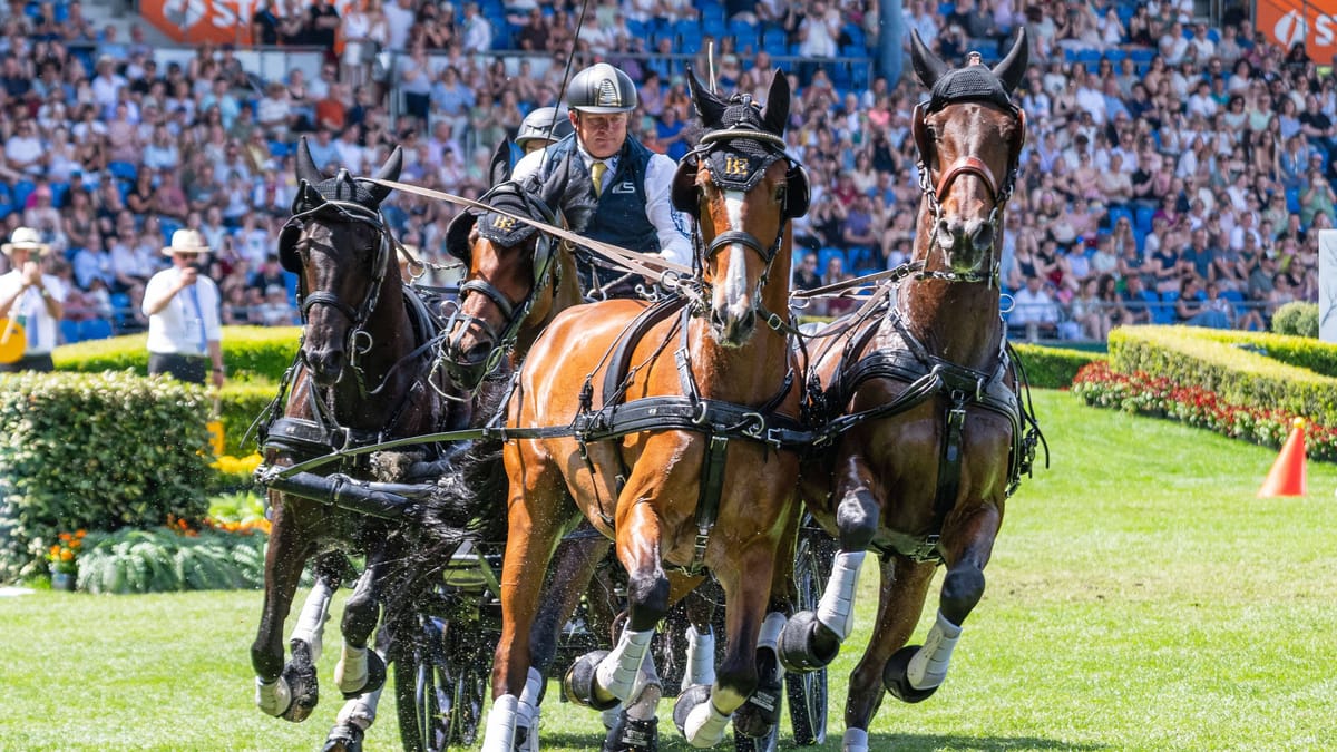 Missbrauch von Pferden: PETA kritisiert CHIO