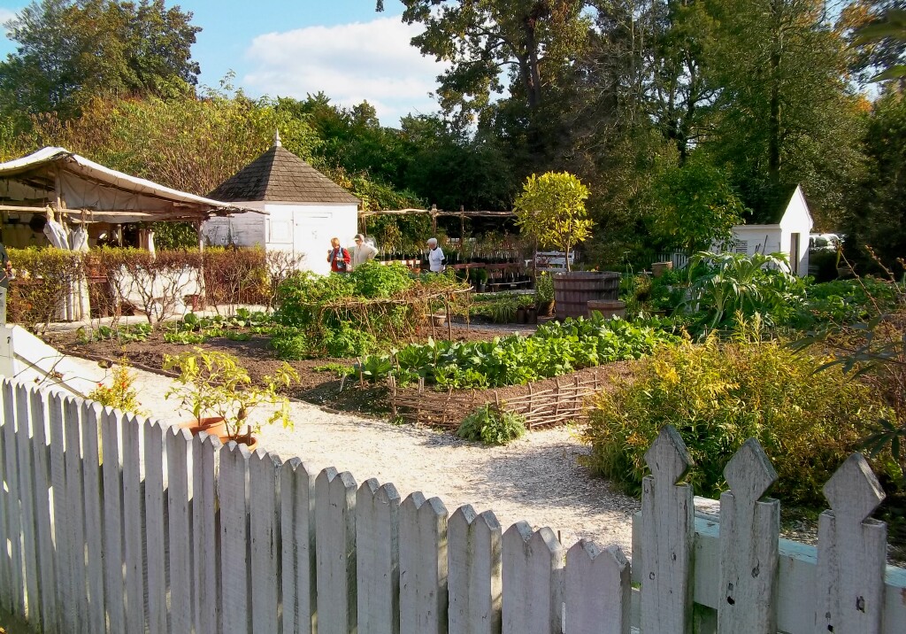 15 DIY garden fences that are both functional and beautiful