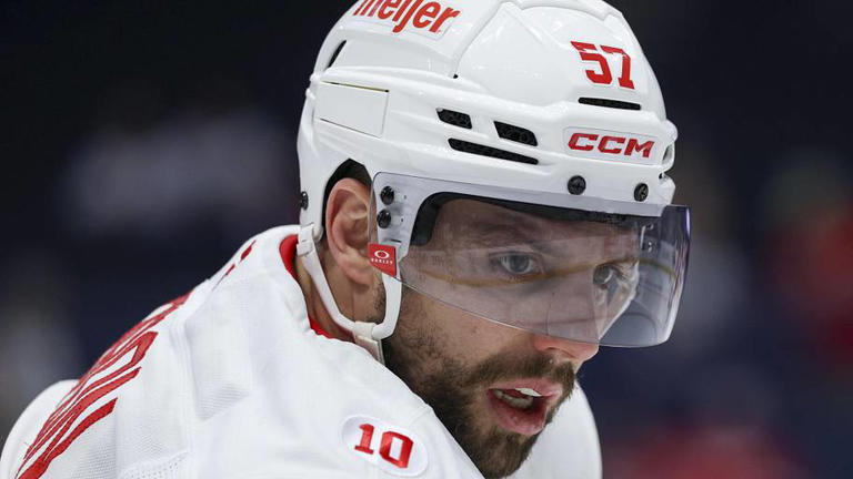Red Wings acquisition doesn't have what it takes anymore