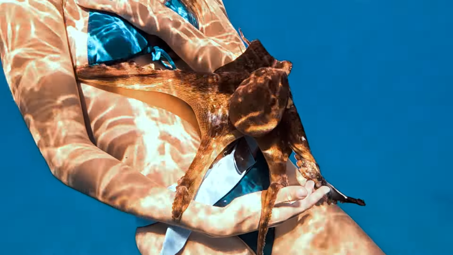 Watch this girl play with her octopus - it didn’t go as planned
