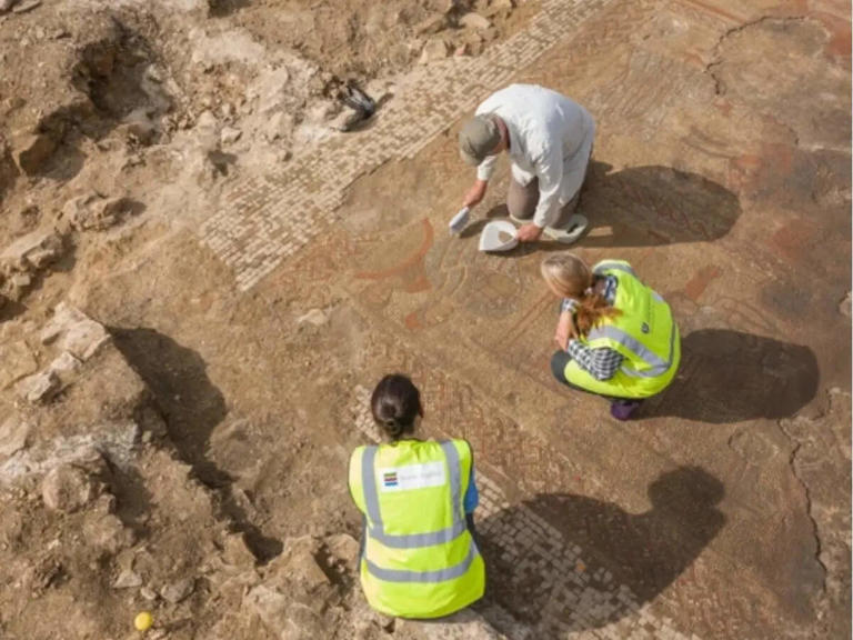 A farmer son’s routine field dig led to strange patterns, which are ...