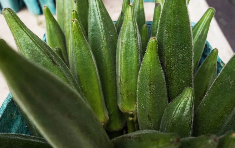 Is okra water worth the hype or just slimy tea?