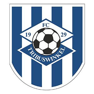 Jandas Kopfball in Minute 93 fixiert Auswärtssieg von SG Bad Vöslau ...