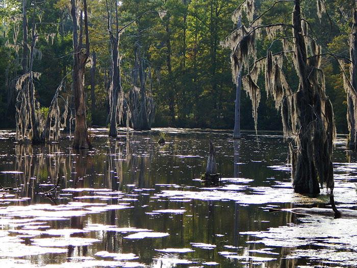 Flat and featureless: 41 places in the United States that don’t live up ...
