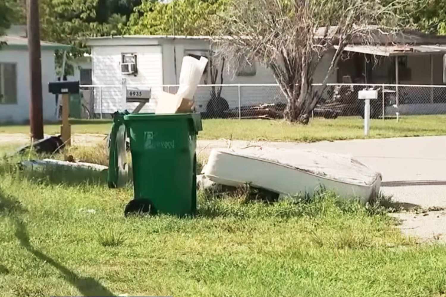 Woman, 50, dies after allegedly being dragged and mauled by neighbor’s ...