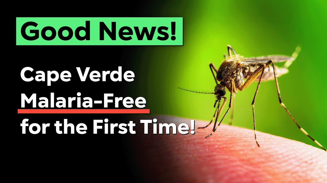 Your weekly dose of good news! - #13