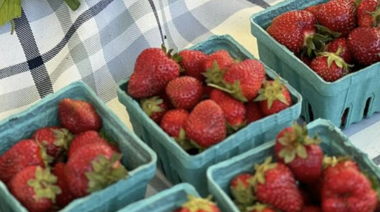 You're invited: Book Love’s farmers market in Plymouth reveals opening ...