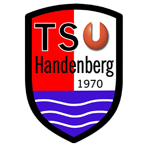 Überraschung in Handenberg! Union St. Martin/I feiert 1:0-Sieg