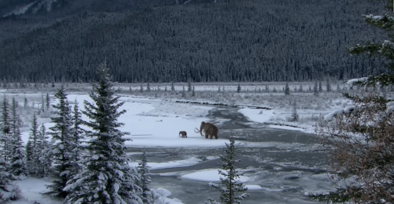 Why the Cenozoic Era was Earth’s most important age